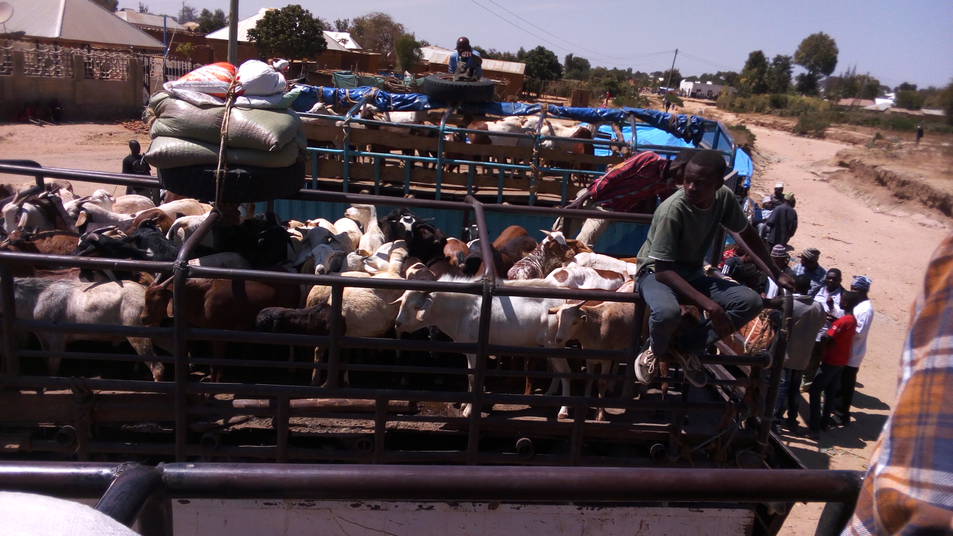 sinlge gallery | Chemba District Council